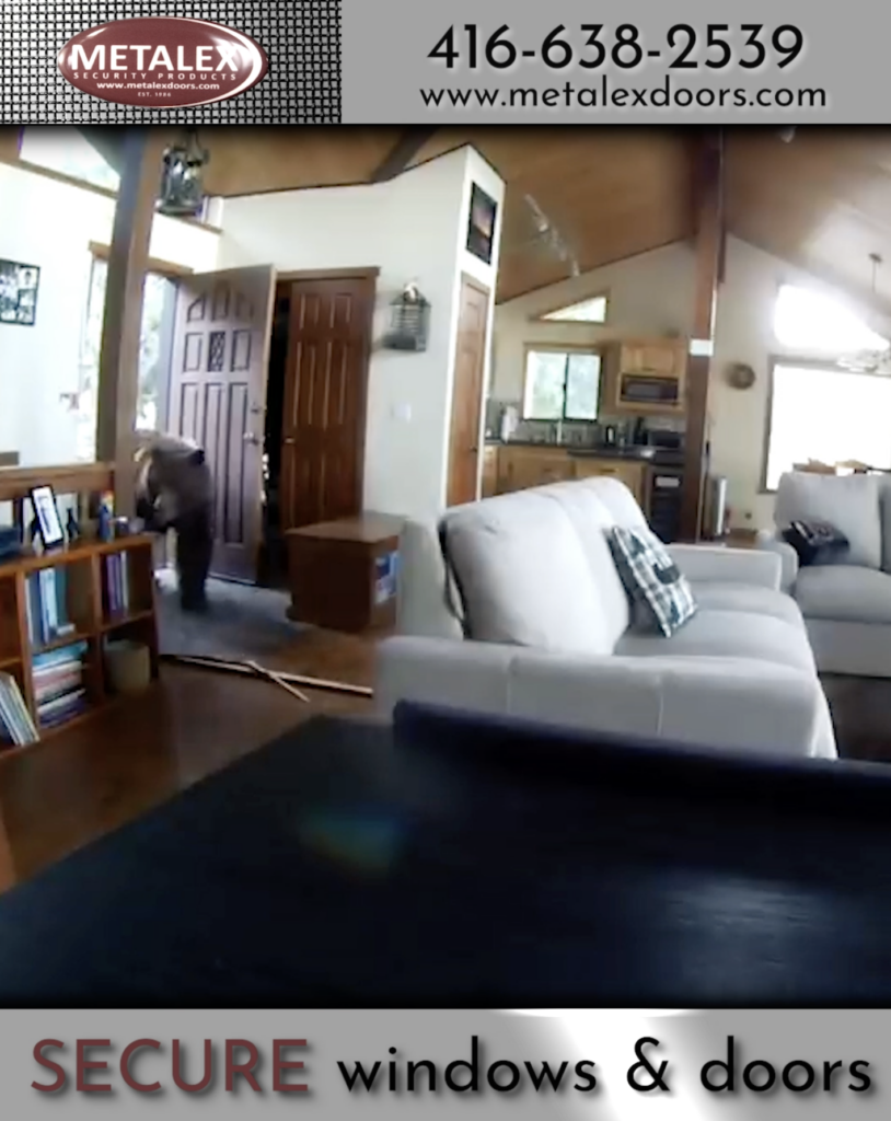 Metalex Security Products For Your Cottage - Metalex Security Products